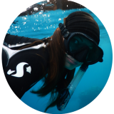 Red Sea Fish Guide With Photos - Most Common Species To See