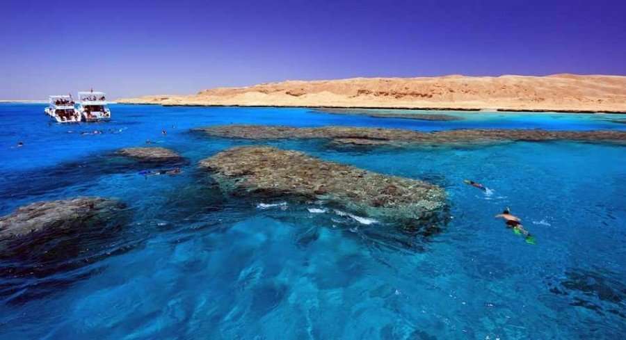 Snorkeling in Mahmya Island - Egypt