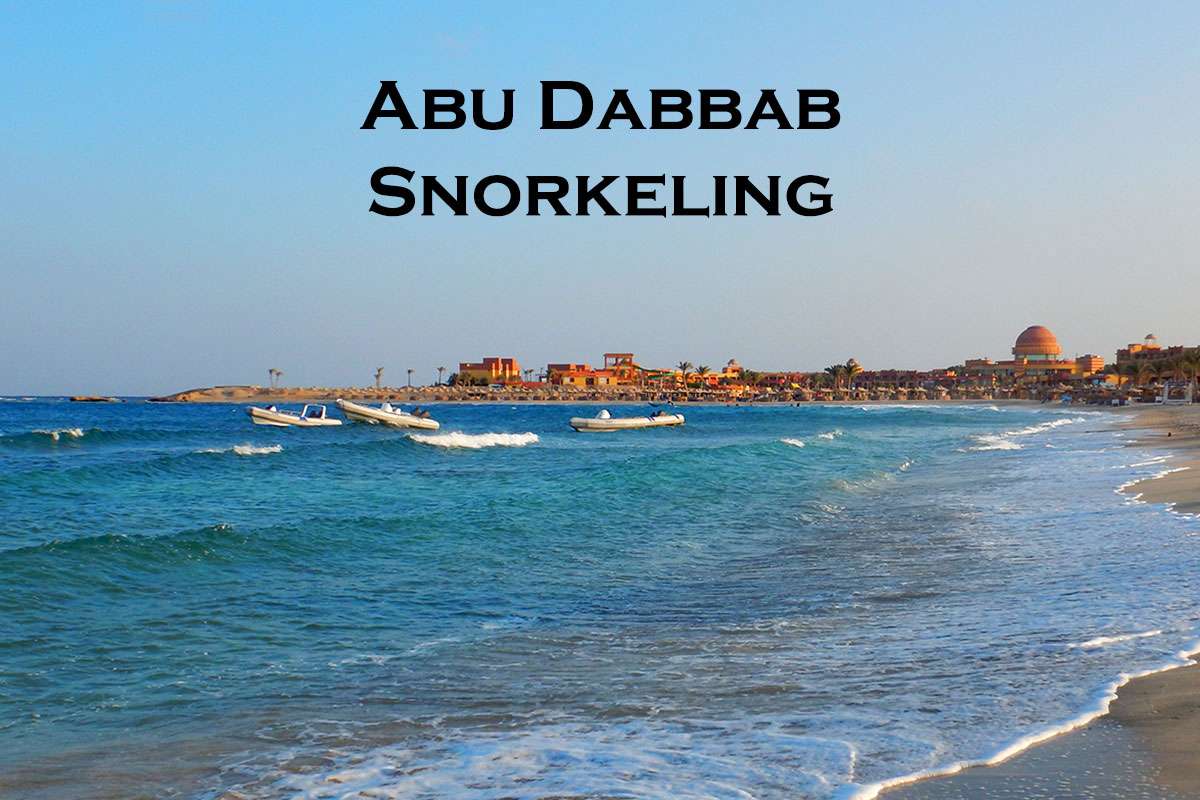 Red Sea Coral Reef Facts – Interesting Things To Know