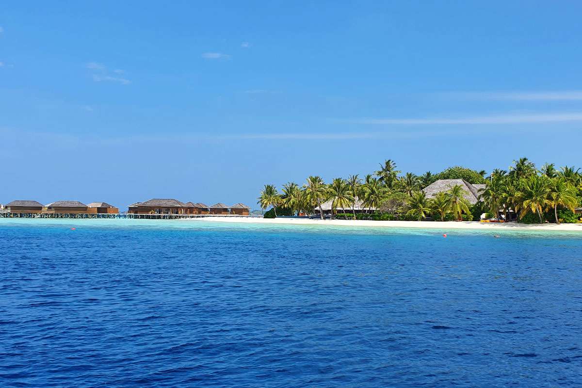 Snorkeling in the Maldives - When/Where to Travel, What To See