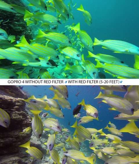 GoPro Red Filter - When and how to use it for snorkeling and diving