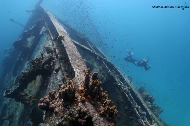 3 Best Aruba Shipwreck Snorkeling Spots to Explore
