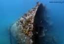 3 Best Aruba Shipwreck Snorkeling Spots to Explore