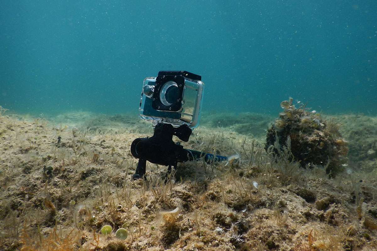 What is a GoPro Dome Port And How To Take Half Underwater Photos