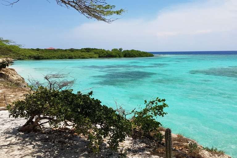 Caribbean Snorkeling Destinations: 10 Best Places To Visit