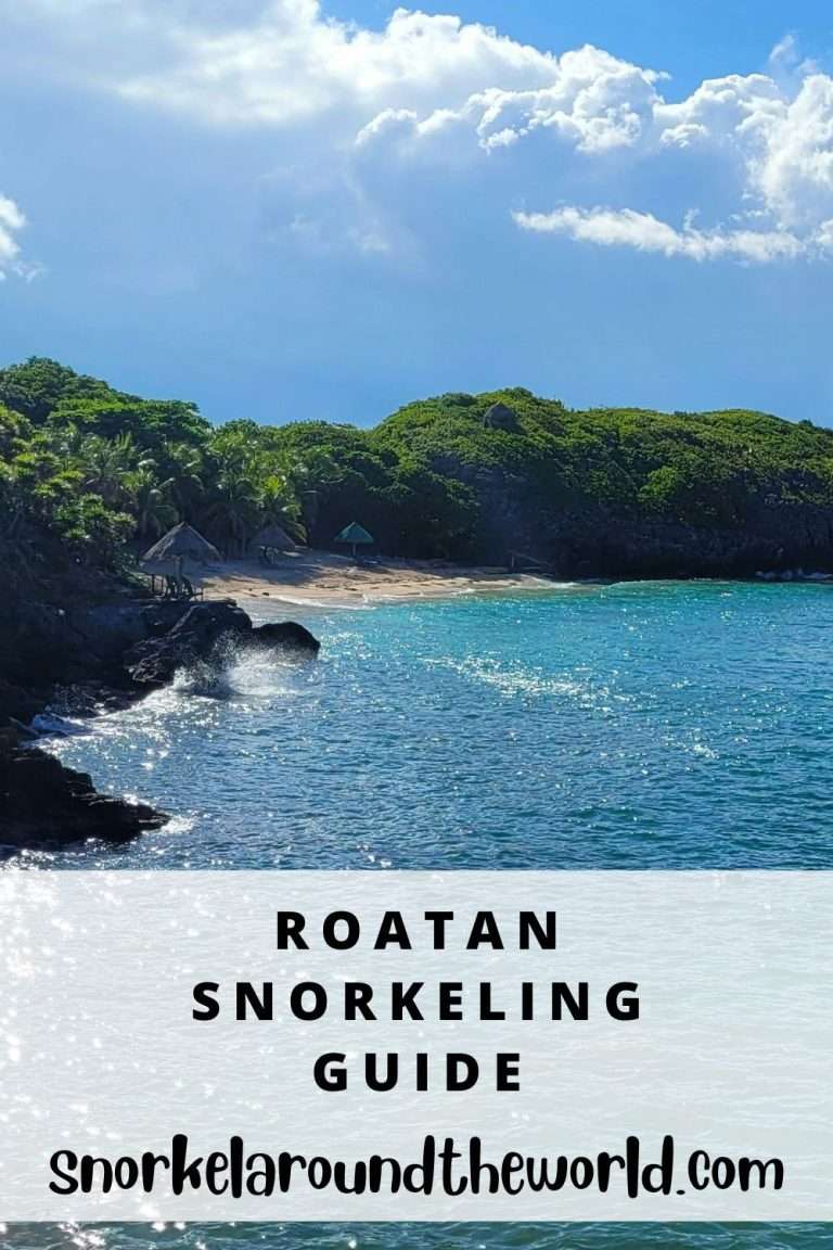 Snorkeling in Roatan – Complete guide 2025