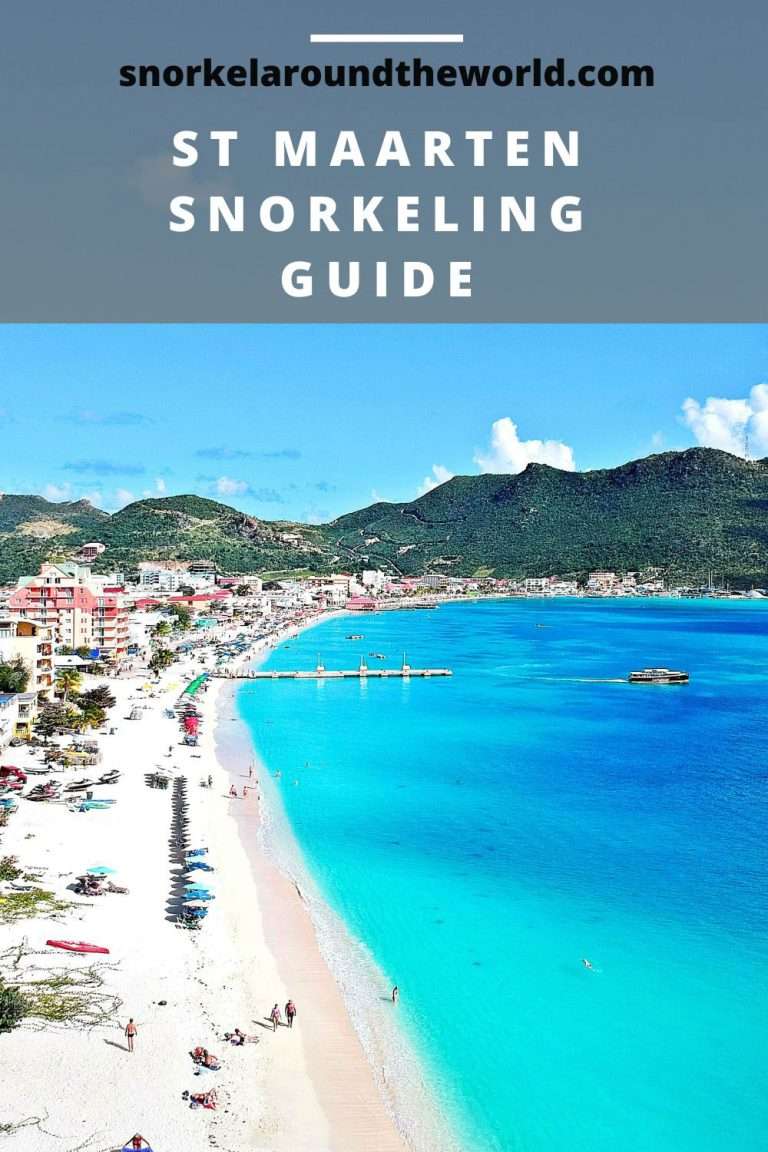 Snorkeling Spots in St Maarten and Saint Martin