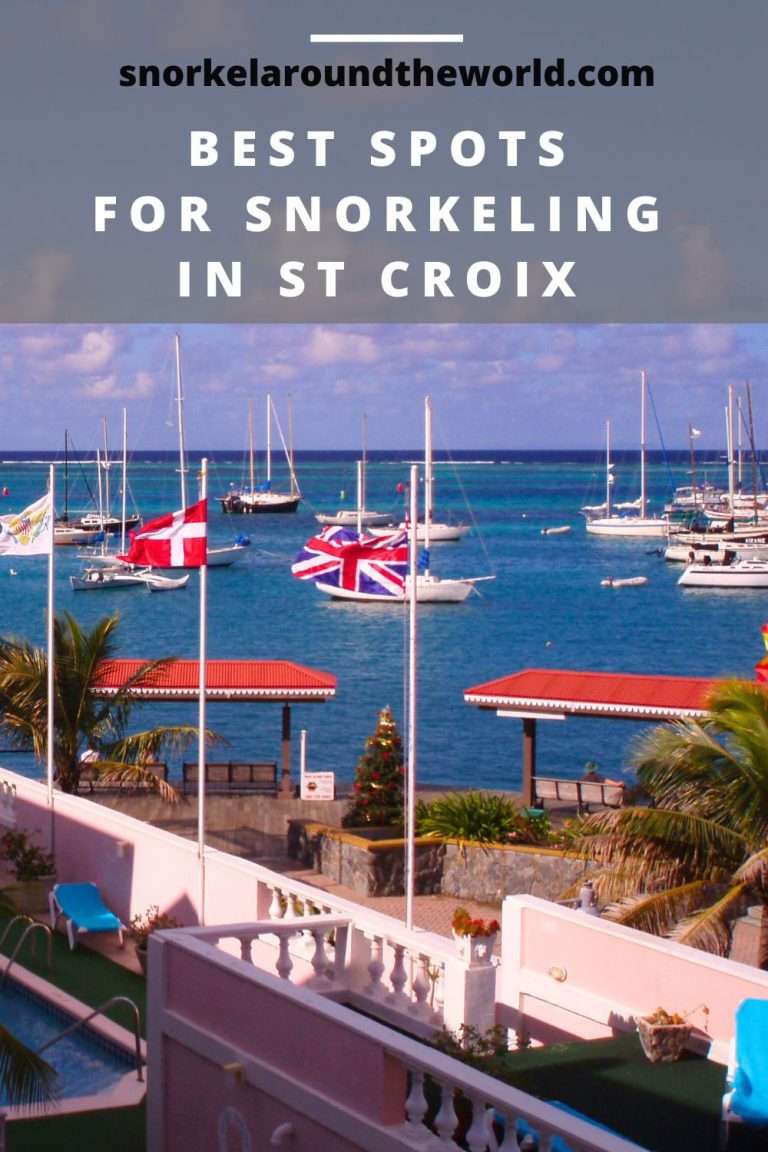 10 Best Snorkeling Spots in St Croix USVI