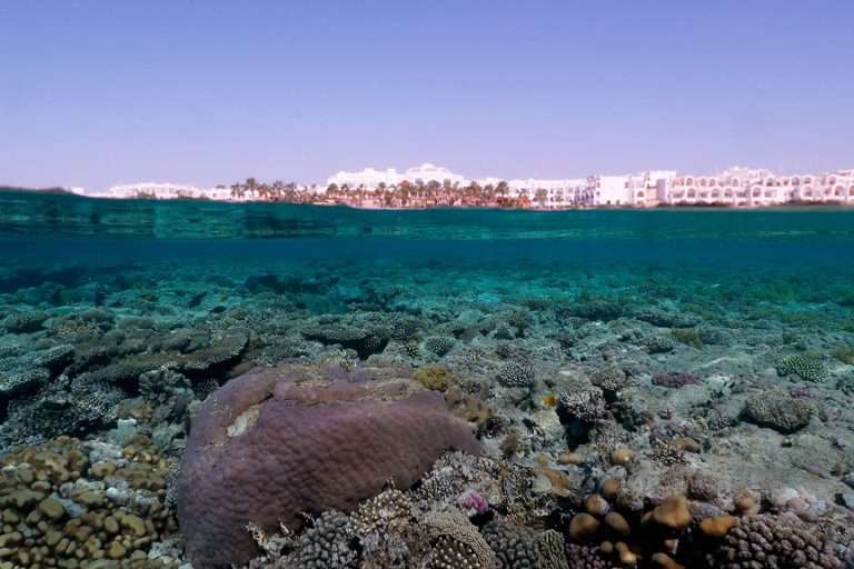 Ras Nasrani Snorkeling | Tips To Visit Al Montazah Sharm el Sheikh