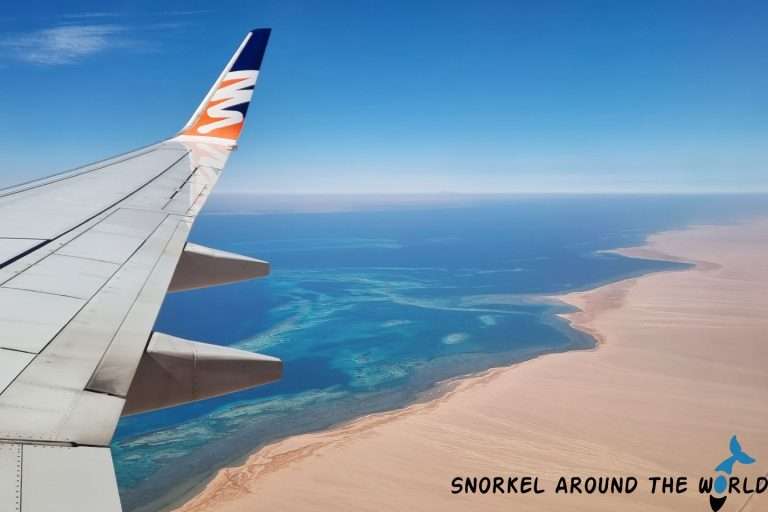 Red Sea Coral Reef Facts – Interesting Things To Know