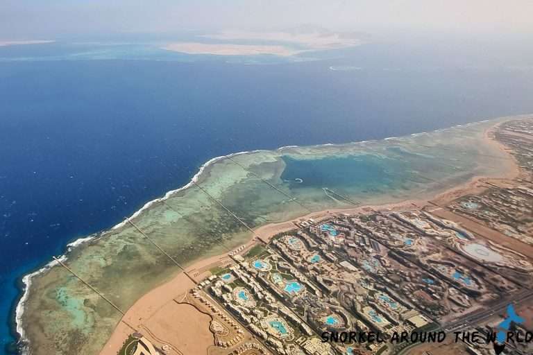 Red Sea Coral Reef Facts – Interesting Things To Know