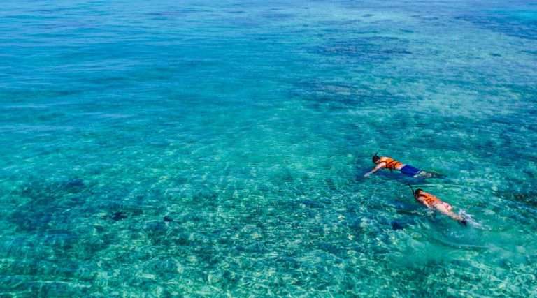 Snorkeling for non-swimmers – How to do it in a safe way