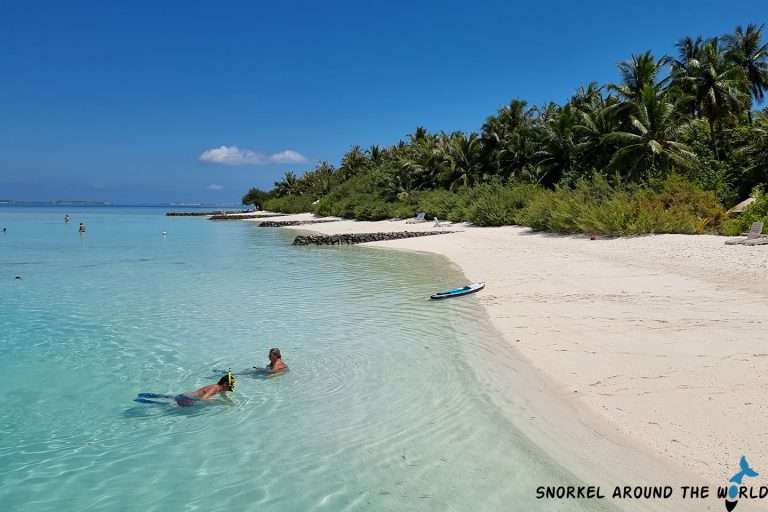 Snorkeling in the Maldives - When/Where to Travel, What To See