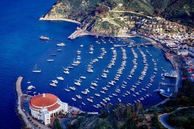 Snorkeling in Catalina Island California