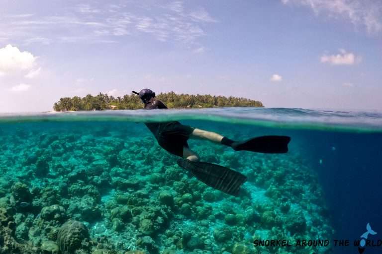 What is a GoPro Dome Port And How To Take Half Underwater Photos