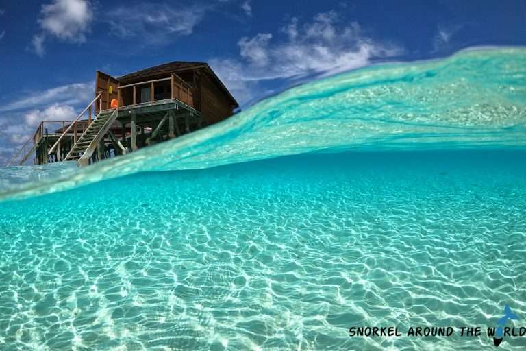 What is a GoPro Dome Port And How To Take Half Underwater Photos