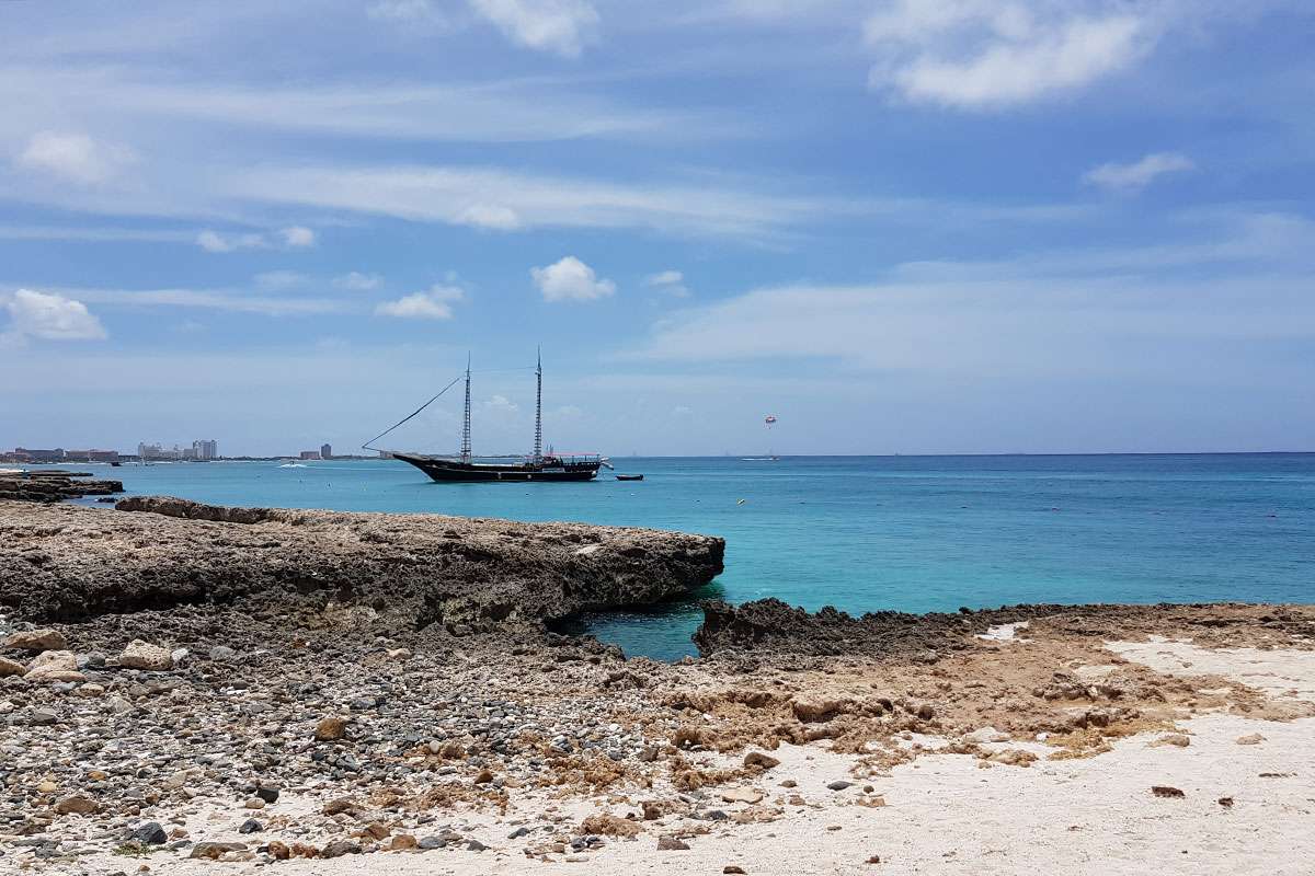 11 Best Spots With Rich Sea Life - Aruba Snorkeling Guide