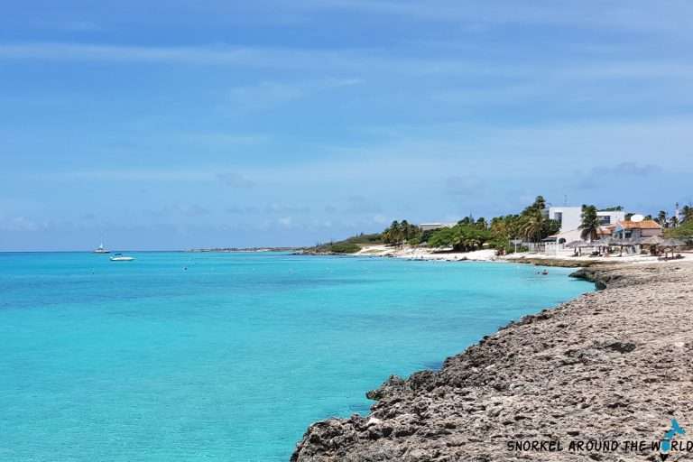 11 Best Spots With Rich Sea Life - Aruba Snorkeling Guide