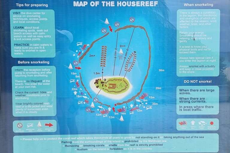 Snorkeling in Angaga Island Resort and Spa Maldives