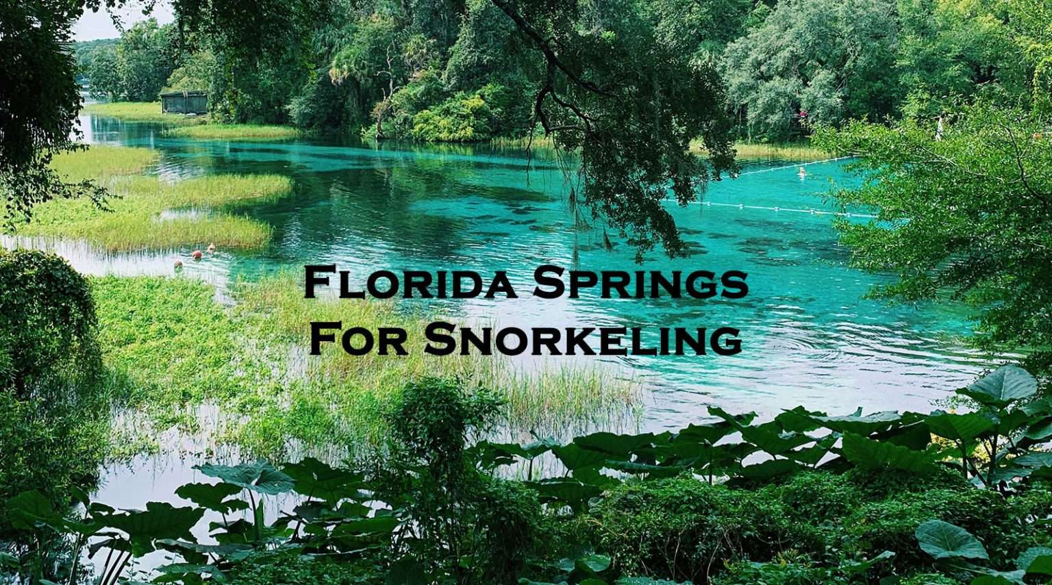 The 14 Best Key Largo Snorkeling Spots