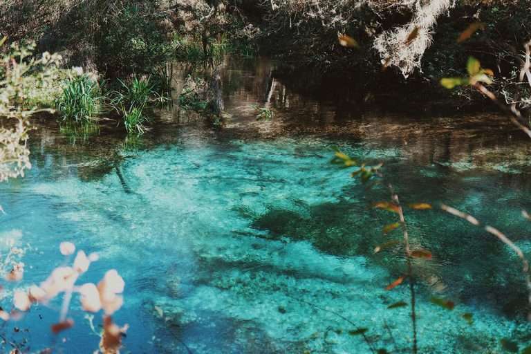 Florida Springs Snorkeling Guide - 22 Best Springs To Visit