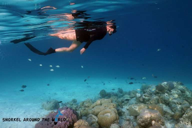 Snorkeling for Beginners - 10 Tips for First-Time Snorkelers