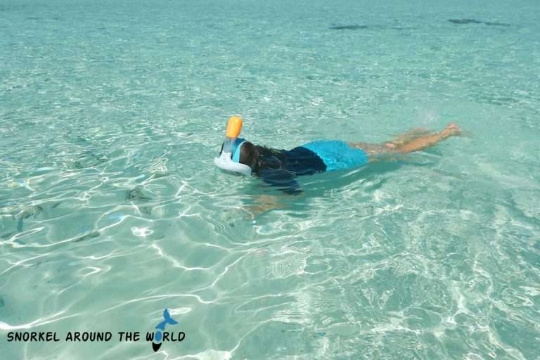 Snorkeling for Beginners - 10 Tips for First-Time Snorkelers