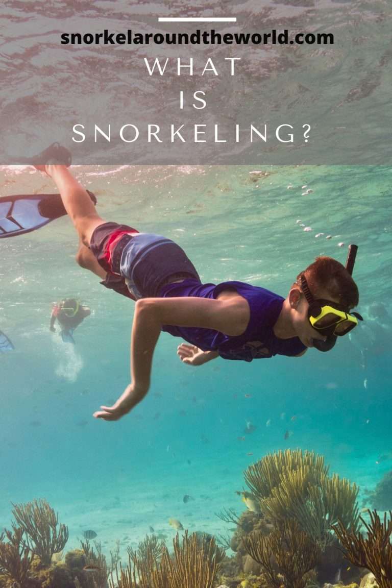 What Is Snorkeling – These are the basics you need to know