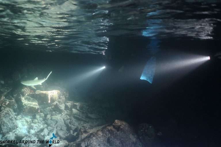 Night Snorkeling - Pro Tips To Be Prepared For This Adventure
