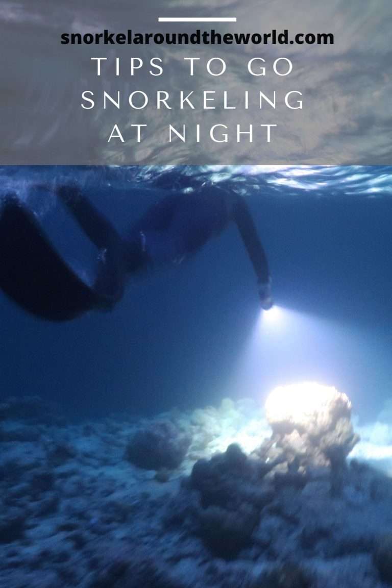 Night Snorkeling - Pro Tips To Be Prepared For This Adventure