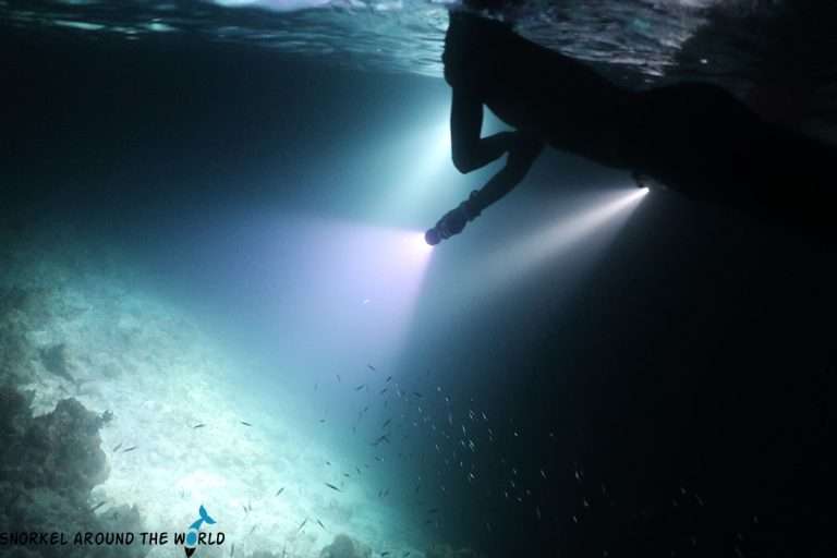 Night Snorkeling - Pro Tips To Be Prepared For This Adventure