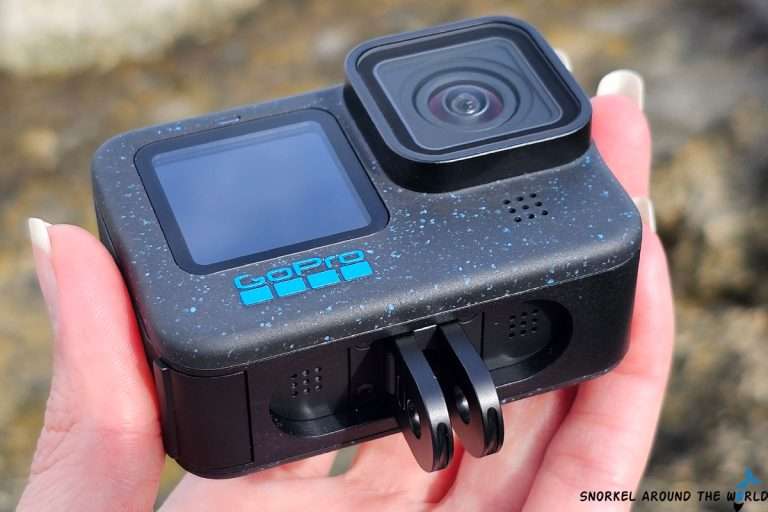 GoPro for snorkeling - Should I use Hero11 or 12 Black model?