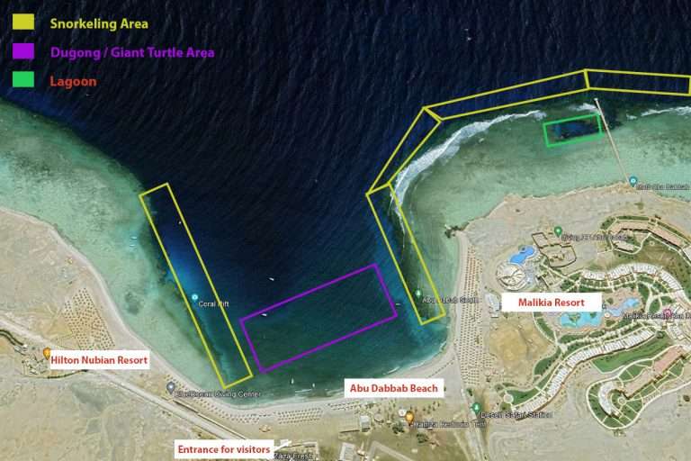Snorkeling in Abu Dabbab - Marsa Alam - Egypt